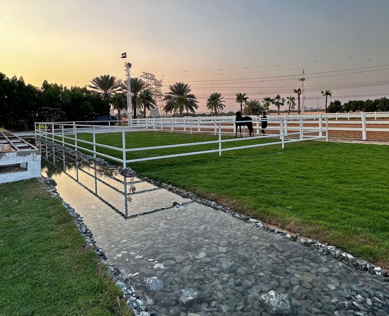 Home [www.hmequestrian.ae]